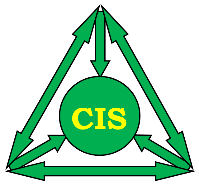 Cooperative Insight Systems – CI Systems